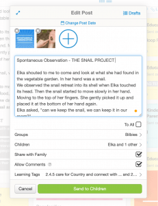 Programming and Planning in your Kinderloop: Part 1-The Planning Cycle – Kinderloop